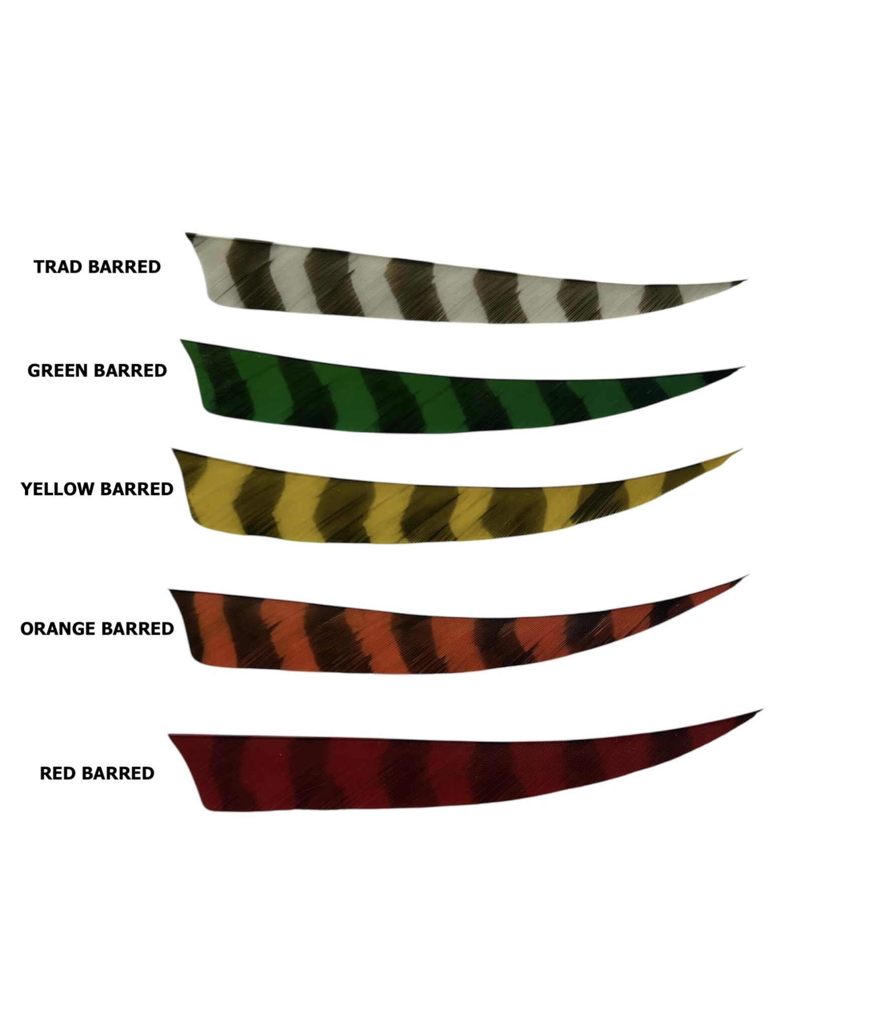 Trueflight 5″ Shield Cut Barred Feathers – Wapiti Archery POC